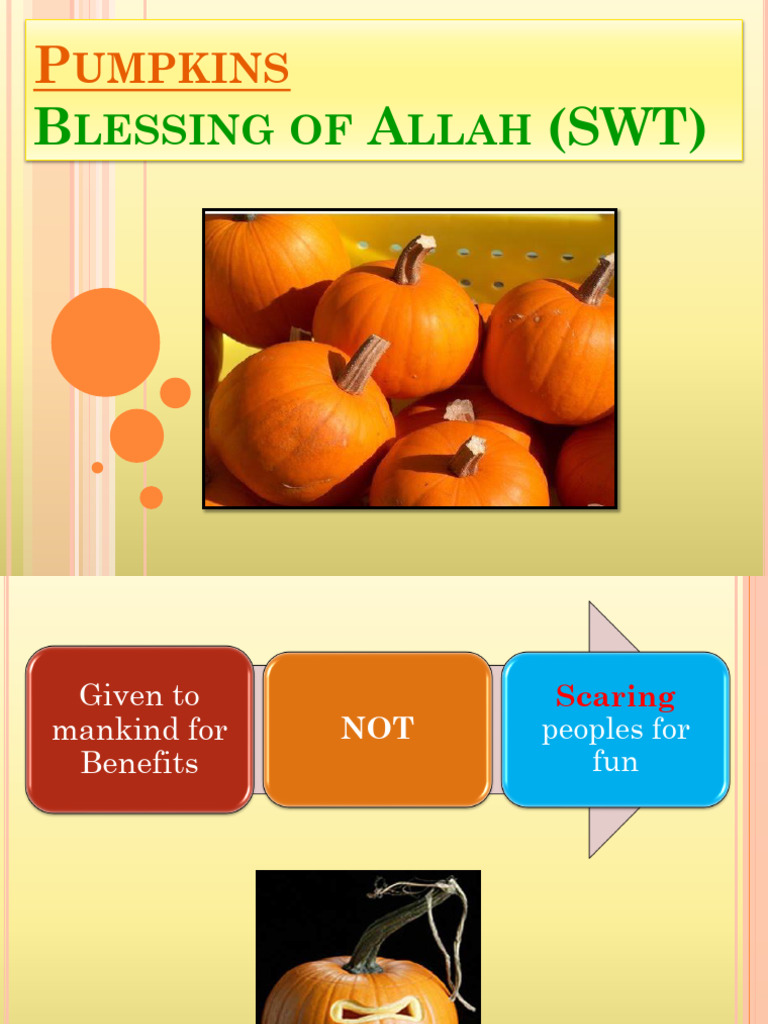 Pumpkins - PPT 2019 | PDF | Cucurbita | Pumpkin