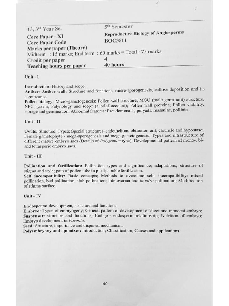 5th Sem Syllabus | PDF