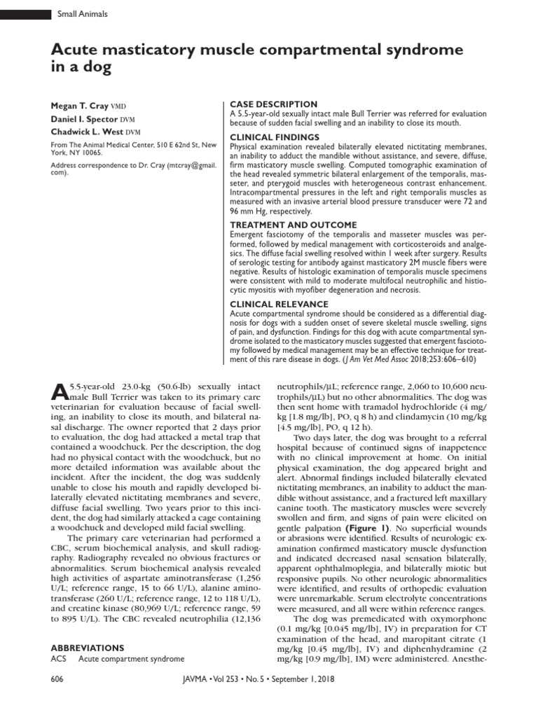 Acute masticatory muscle compartmental syndrome in a dog | PDF ...
