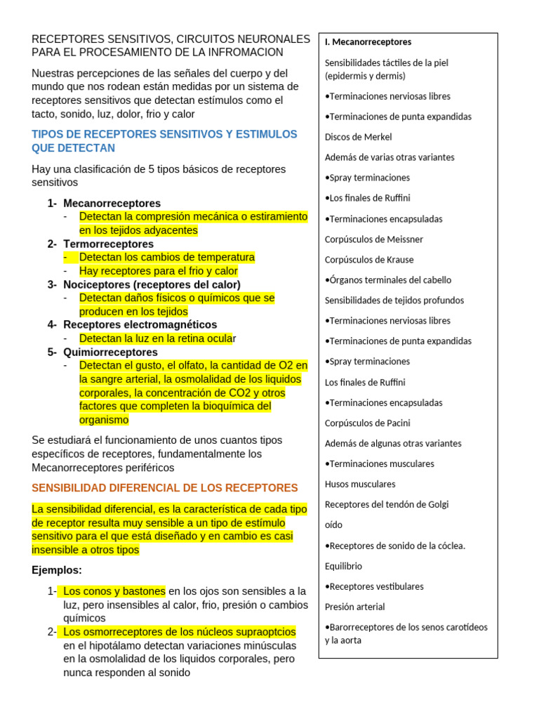 Receptores Sensitivos Circuitos Neuronales para El Procesamiento de La ...