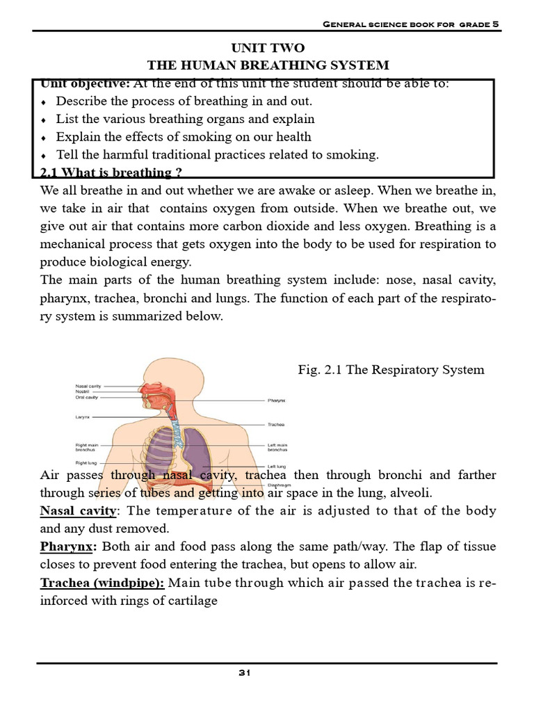 Gs grade 55555-31-43 | PDF | Breathing | Respiratory System