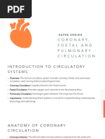 Blood Circulation Flow Chart | PDF