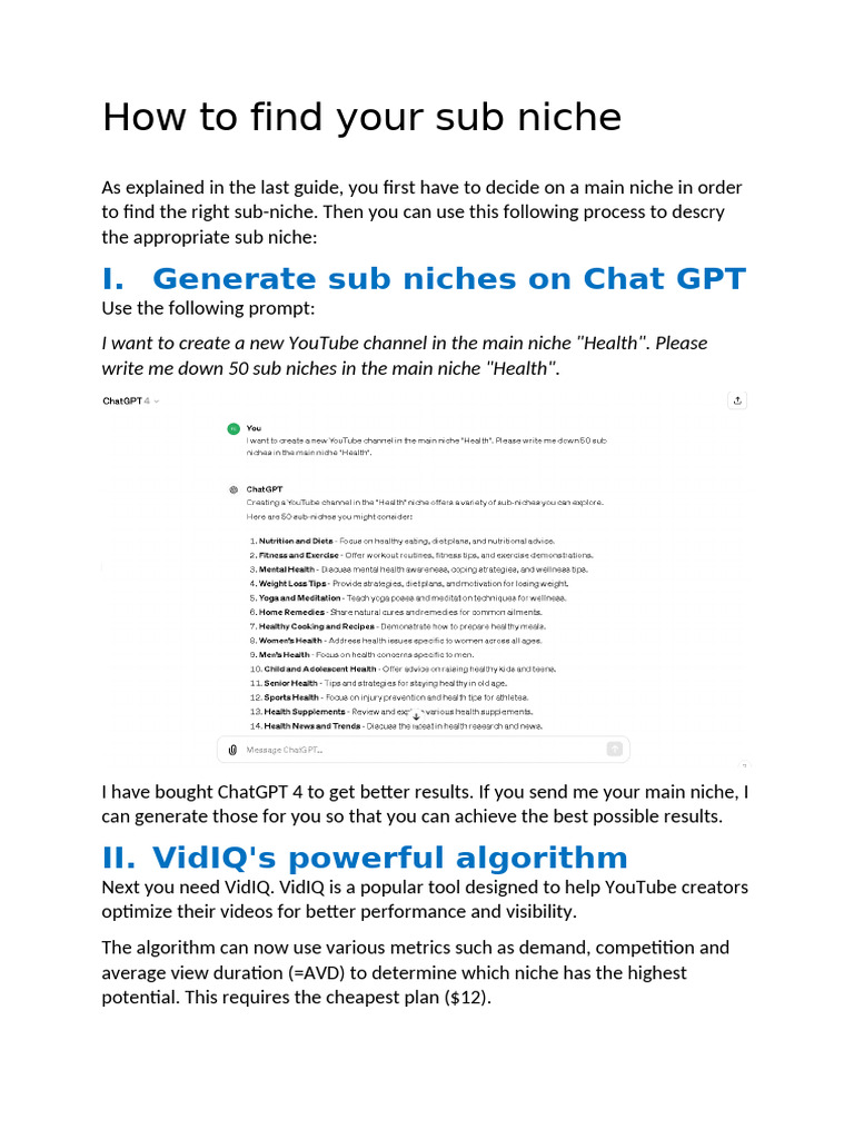 How To Find Your Sub Niche On YouTube | PDF