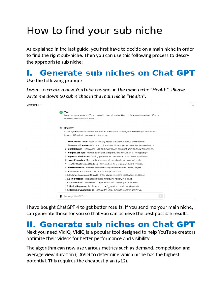 How To Find Your Sub Niche On YouTube | PDF