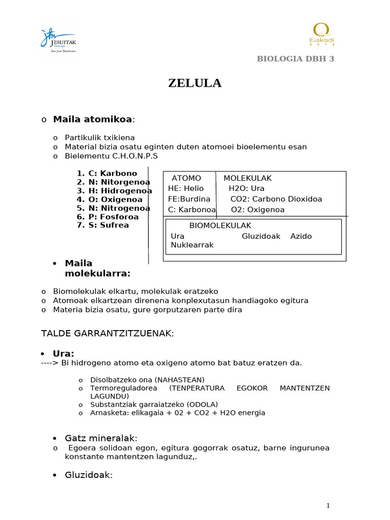4 Zelula -Sarrera Organizazio Maila | PDF