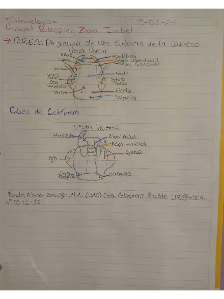 CarbajalZaira_Tarea5 | PDF