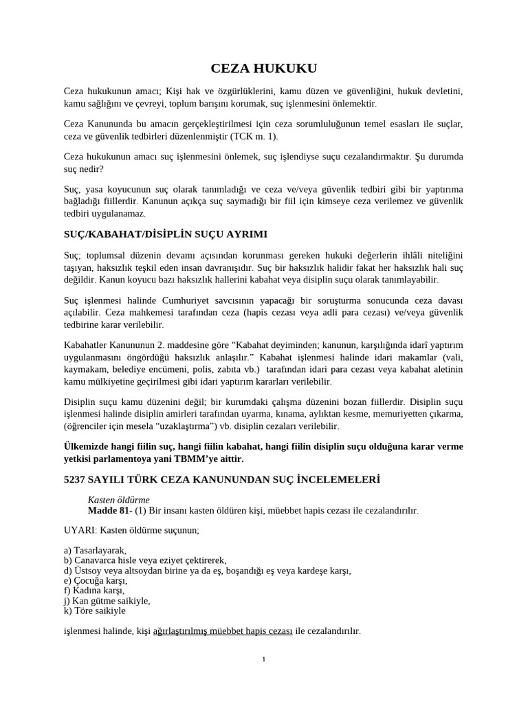 Ceza Hukukju | PDF