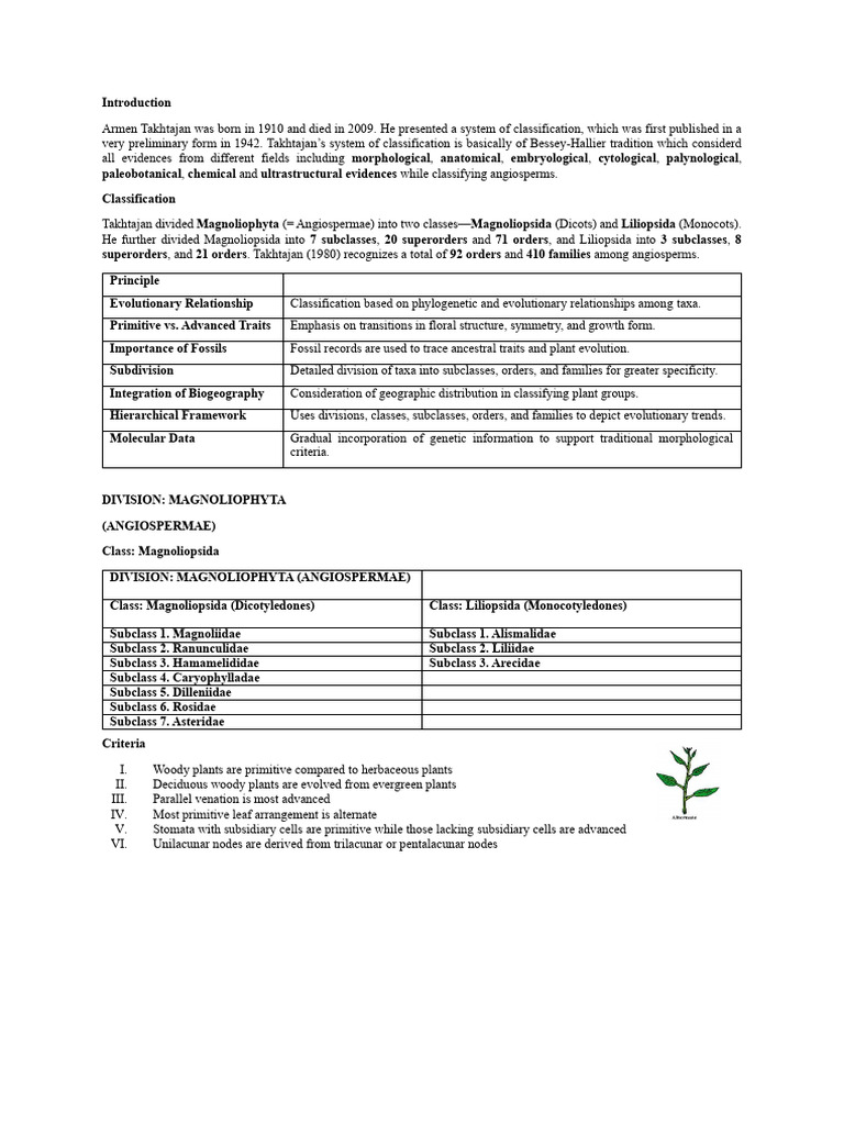 Takhtajan Classification | PDF | Flowers | Evolution