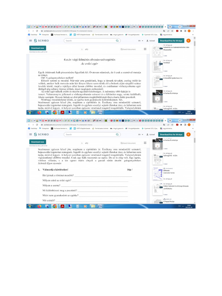 Az Erdei Egér Olvasás 4 Oszt | PDF