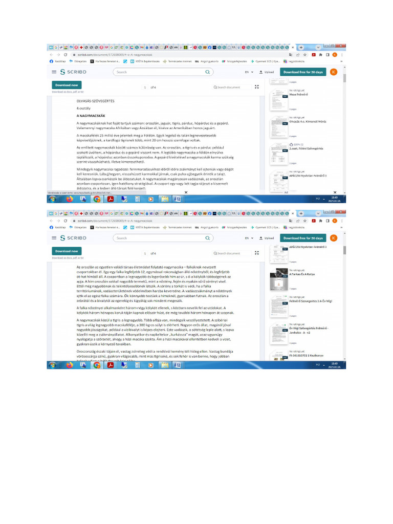 Nagymacskák Olvasás 4 Oszt | PDF