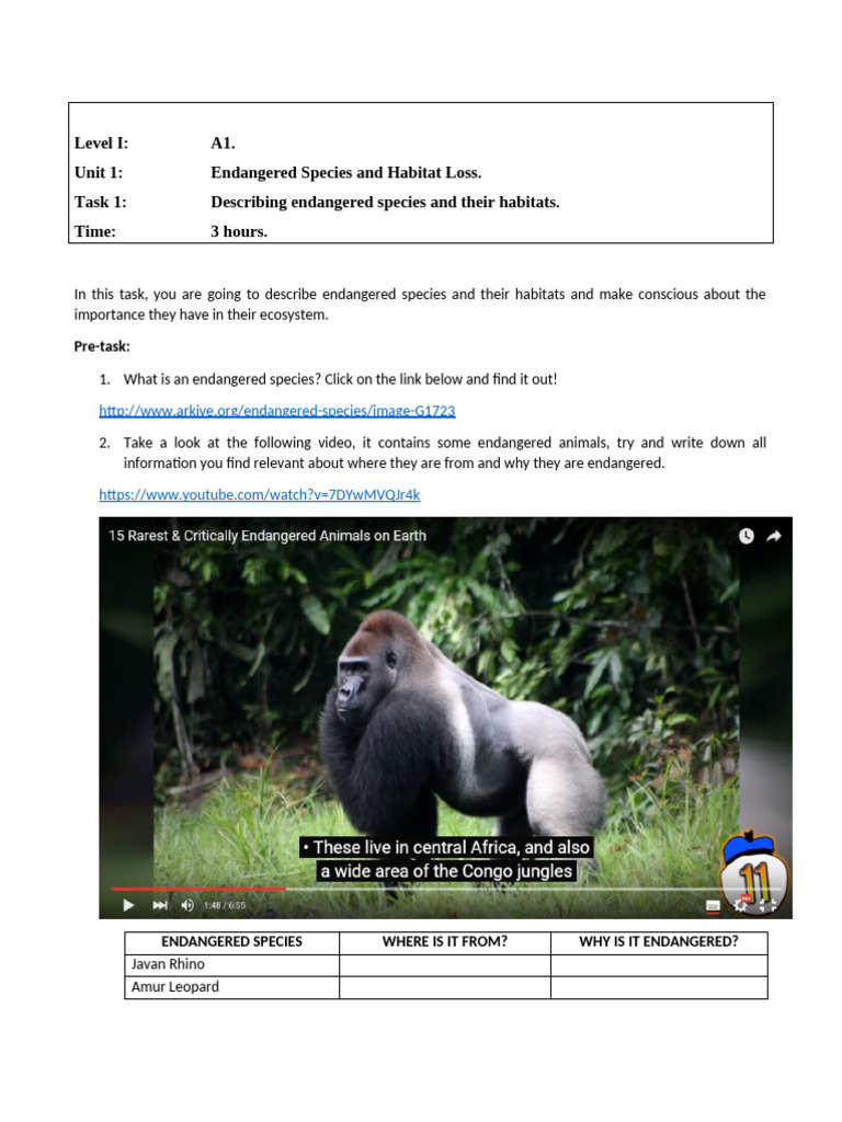 LEVEL 1 English guide | PDF