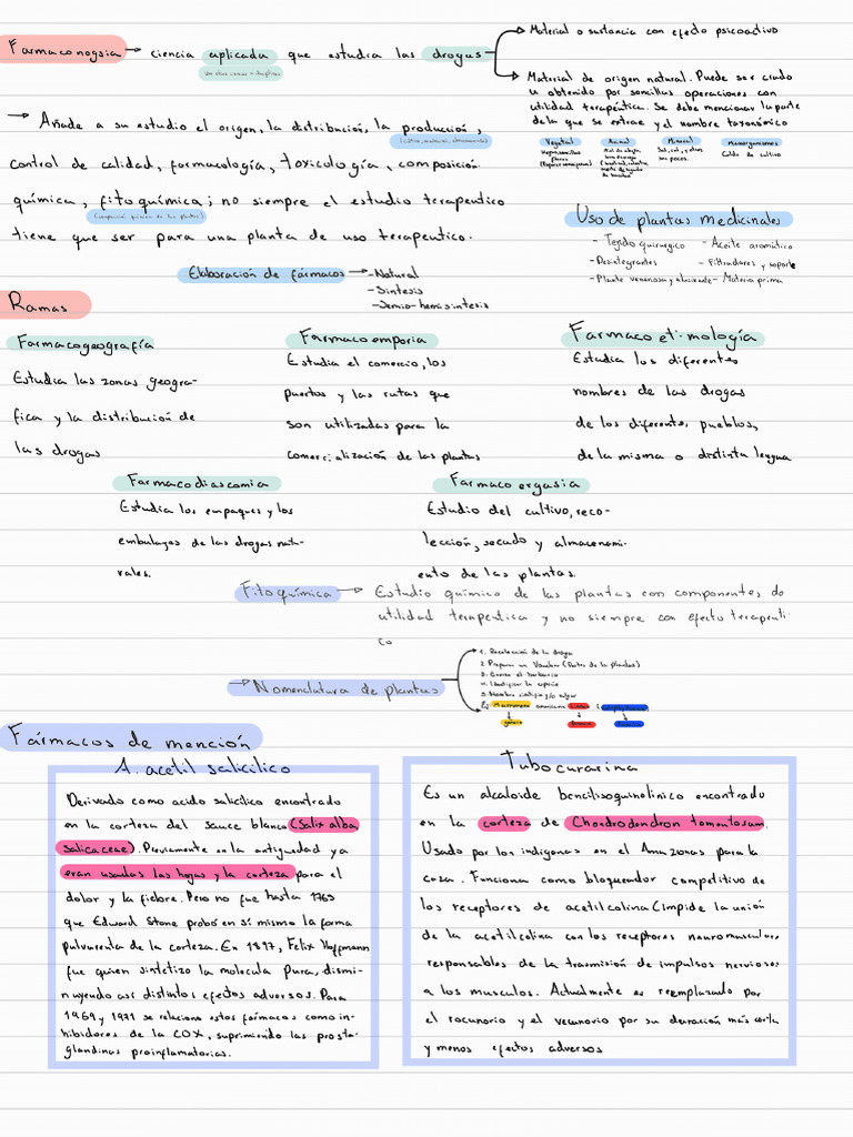 Introducción - 241011 - 164903 | PDF