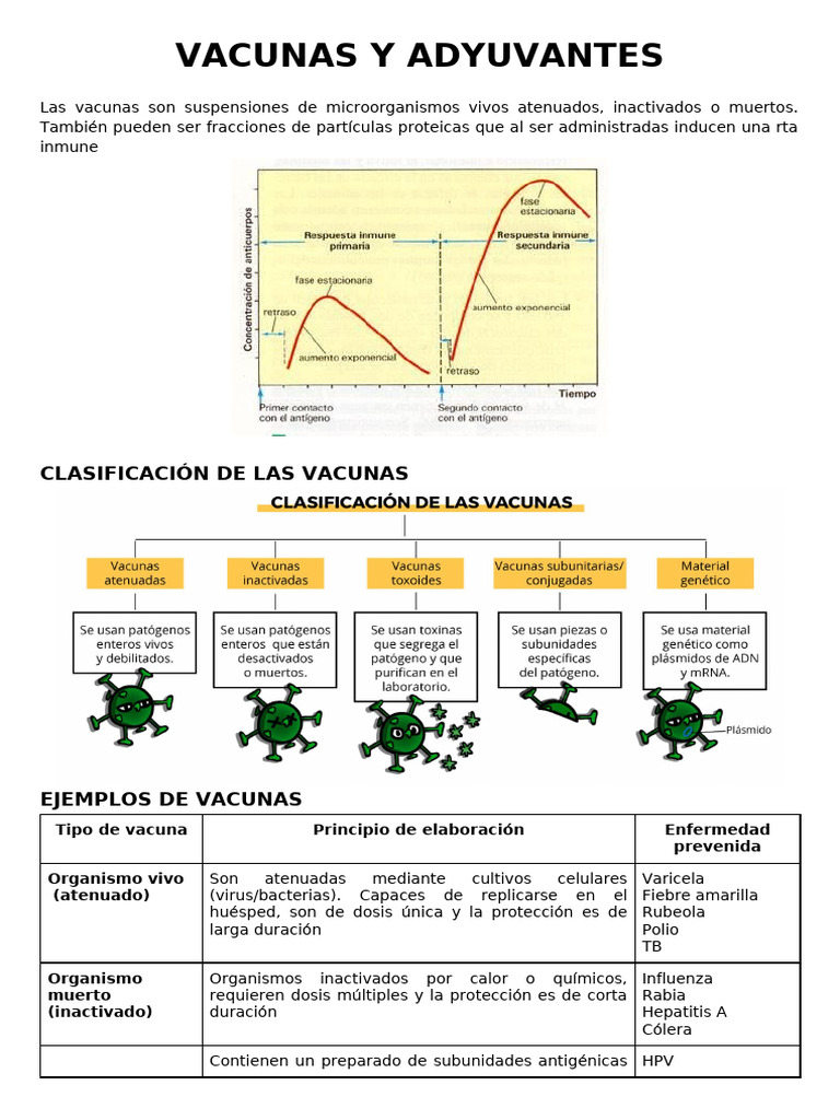 Vacunas y Adyuvantes | PDF | Sistema inmune | Antígeno