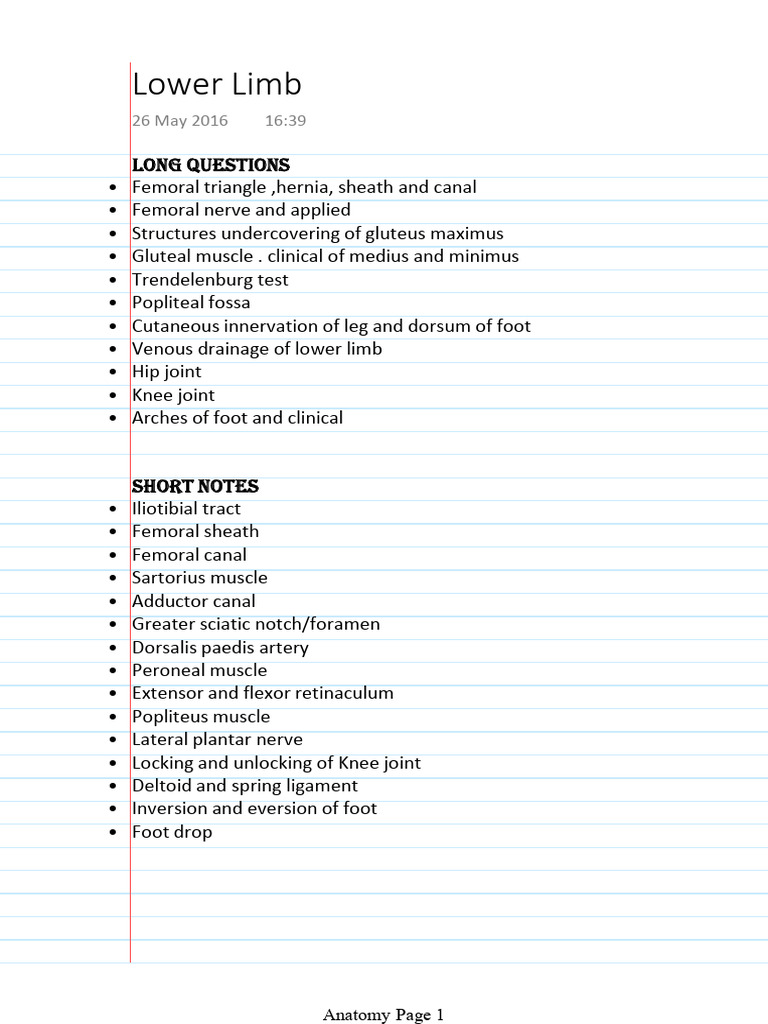 Imp. Anatomy | PDF | Human Leg | Human Anatomy