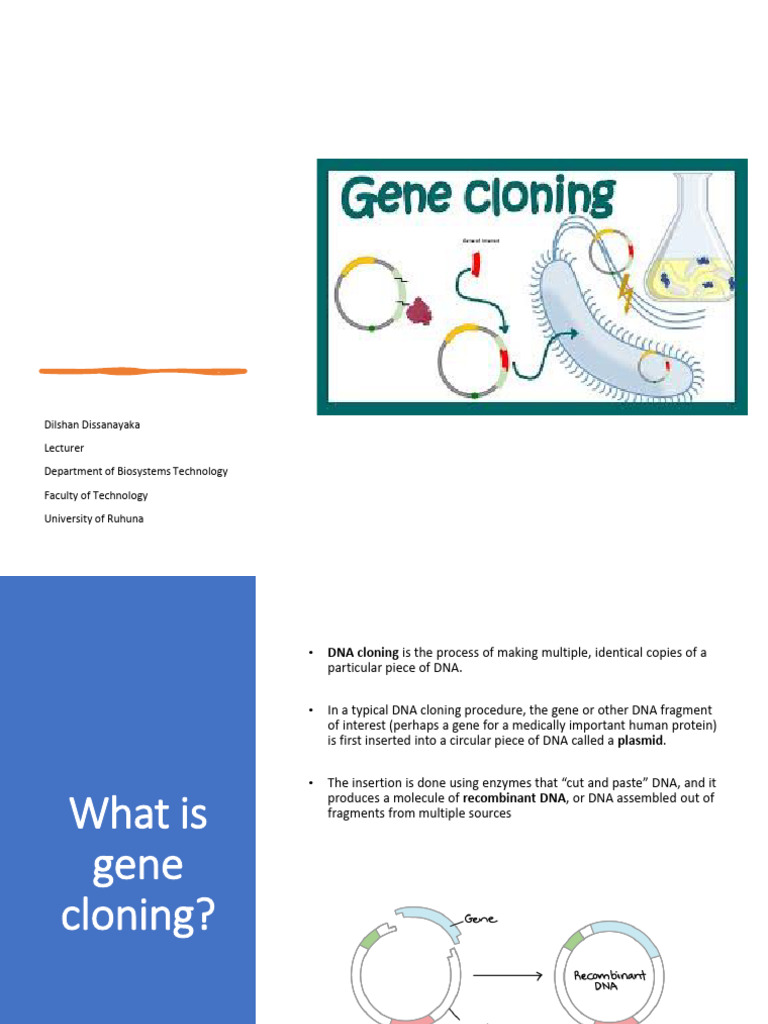 Cloning Procedure-Lecture | PDF | Molecular Cloning | Plasmid