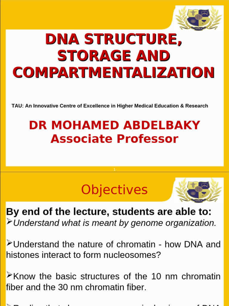 Lecture 3 DNA Structure, Storage and Compartmentalization | PDF | Histone | Chromatin