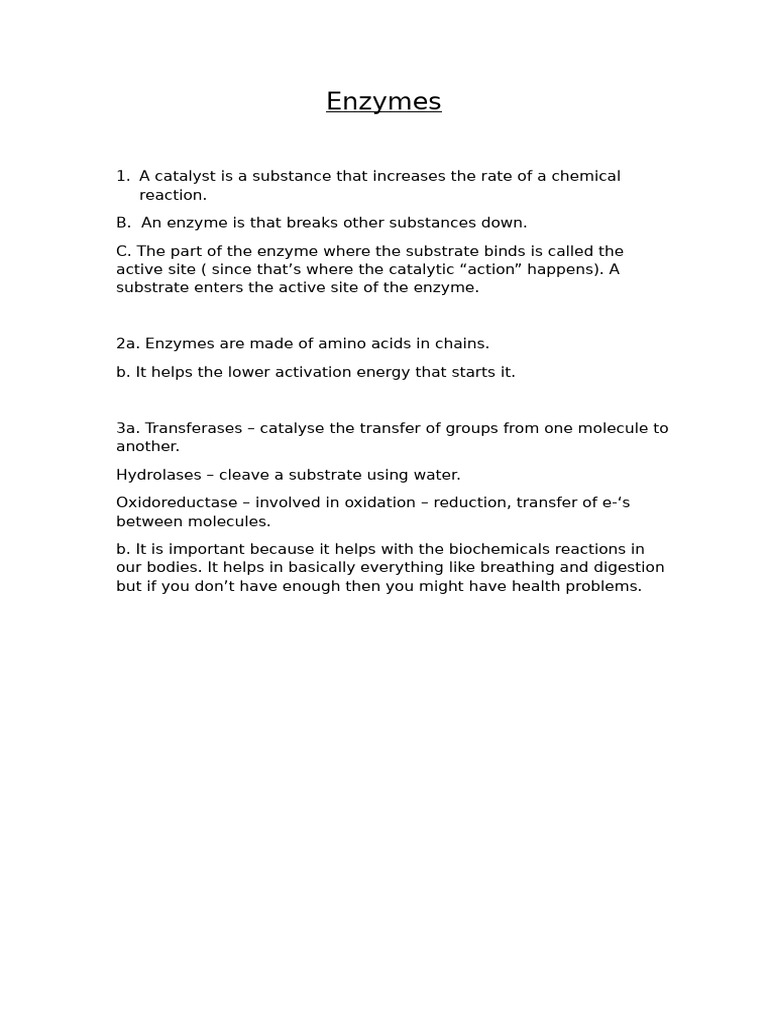 Enzymes - Biology | PDF