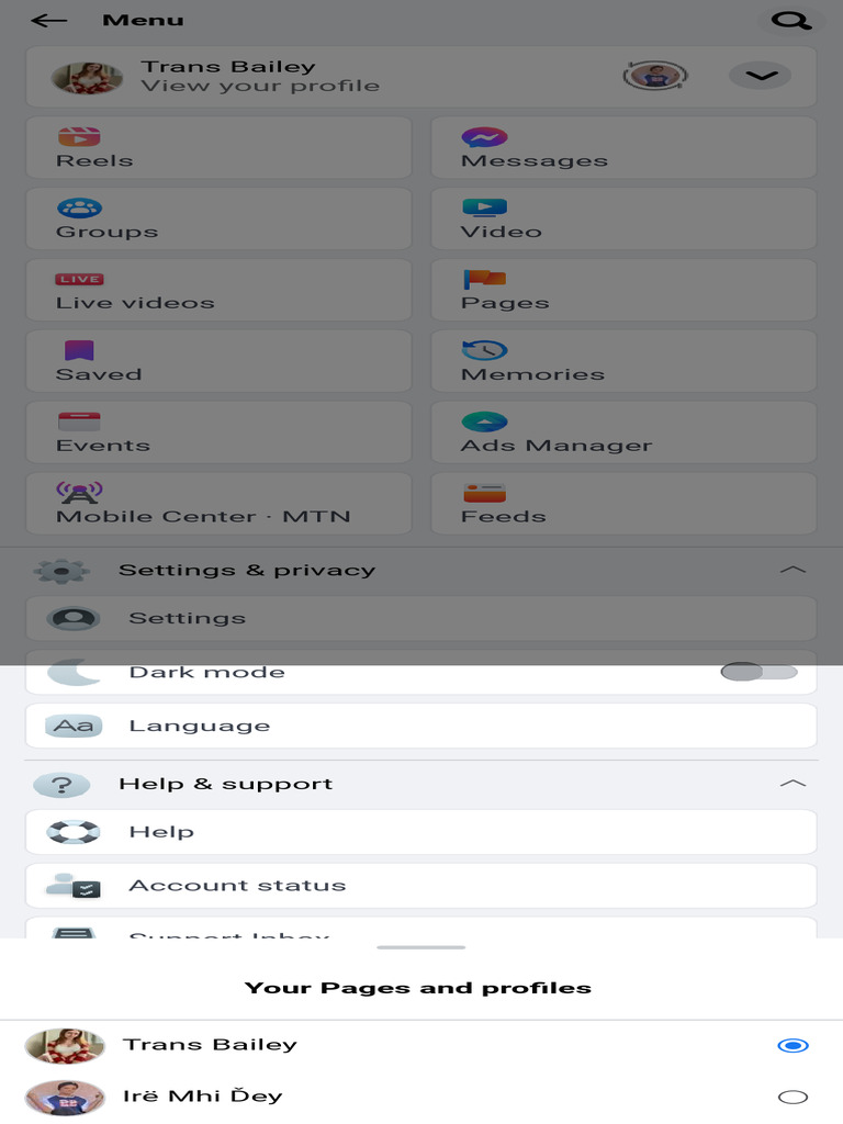 Facebook | PDF