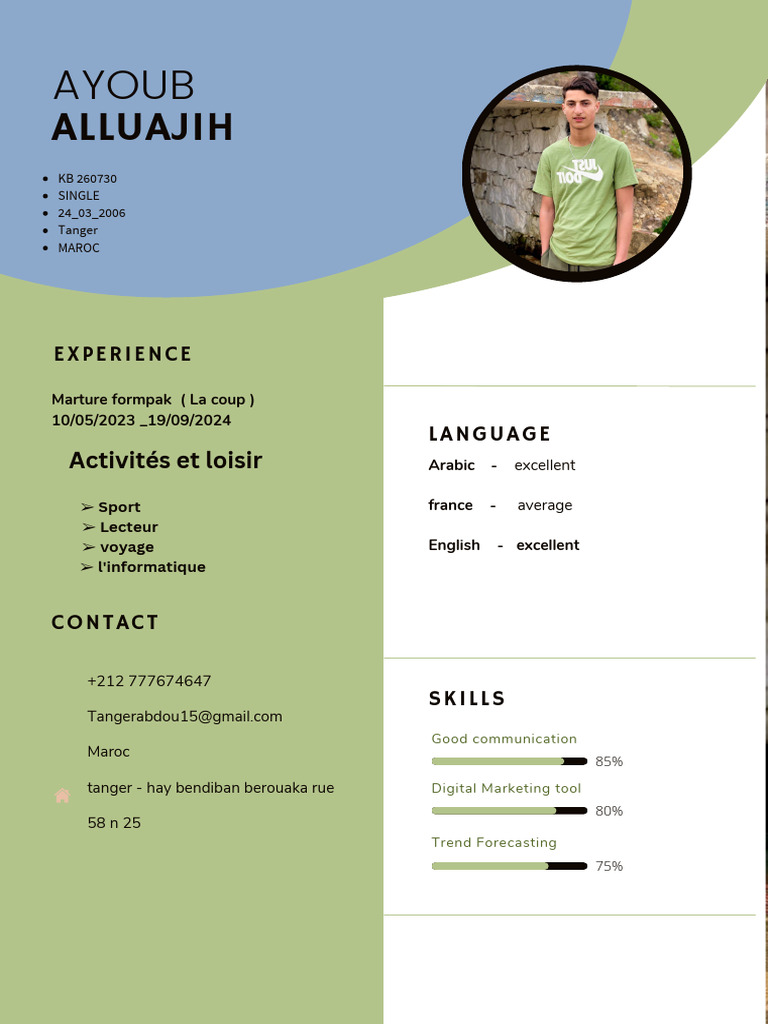 Modèle de CV Bleu Et Géométrique Pour Homme (2) | PDF