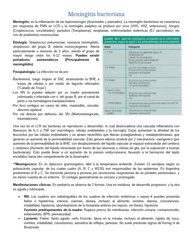 Meningitis Bacteriana | PDF | Meningitis | Inflamación