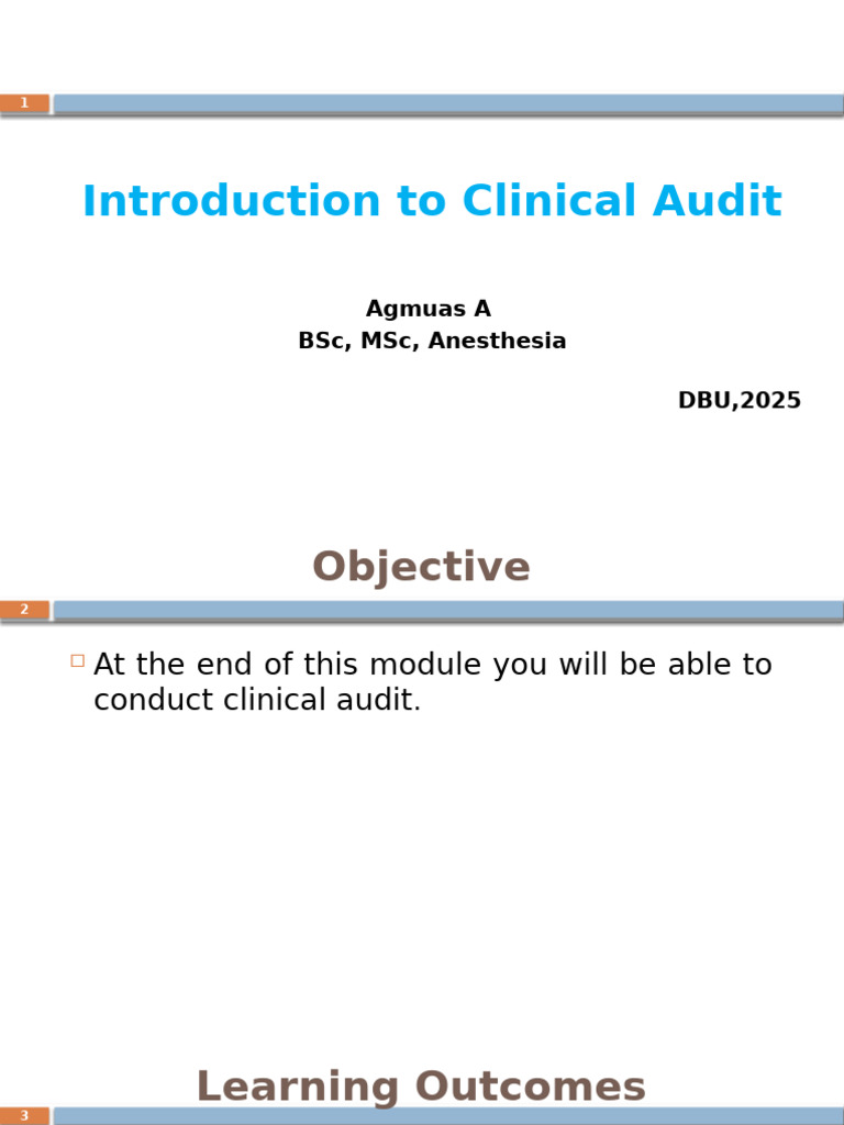 Clinical Audit 2025 | PDF | Sampling (Statistics) | Audit