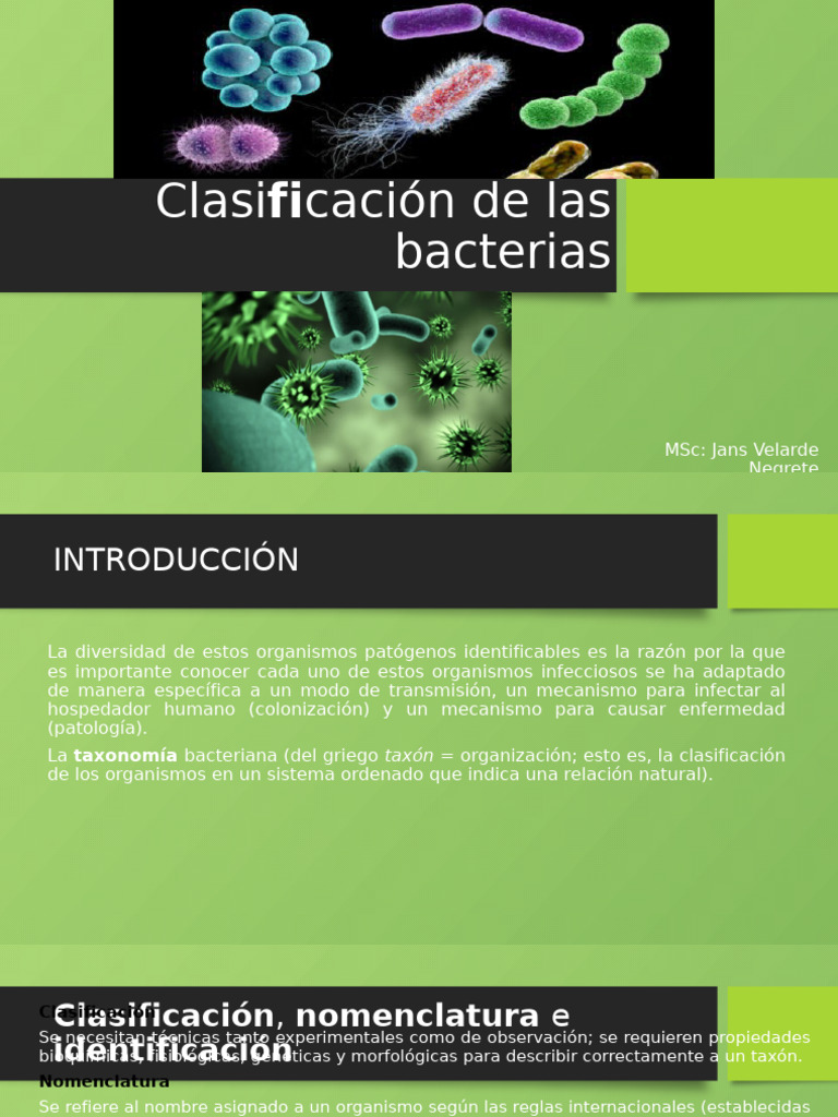 Clasificación de Las Bacterias | PDF | Las bacterias | Taxonomía (biología)