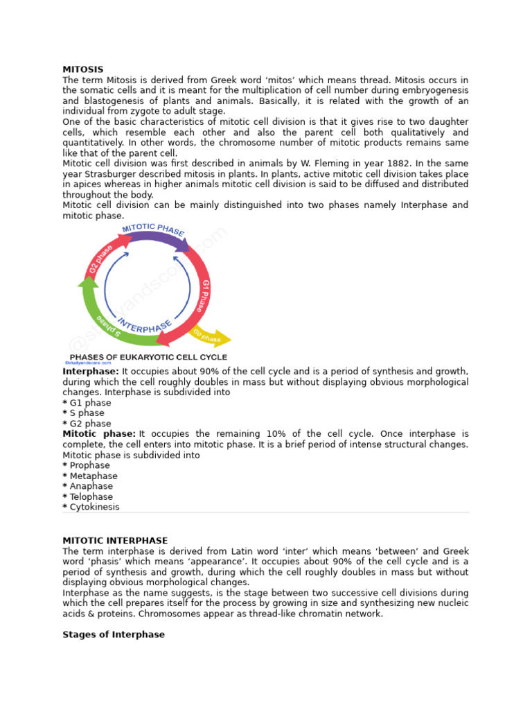 Cell Cycle Notes 2 | PDF | Meiosis | Mitosis