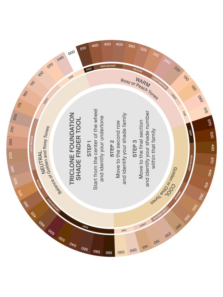 Skin Tone Colour Wheel | PDF