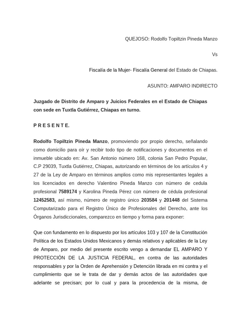 Amparo Indirecto de Rodolfo Pineda Manzo | PDF | Violación | Derecho ...