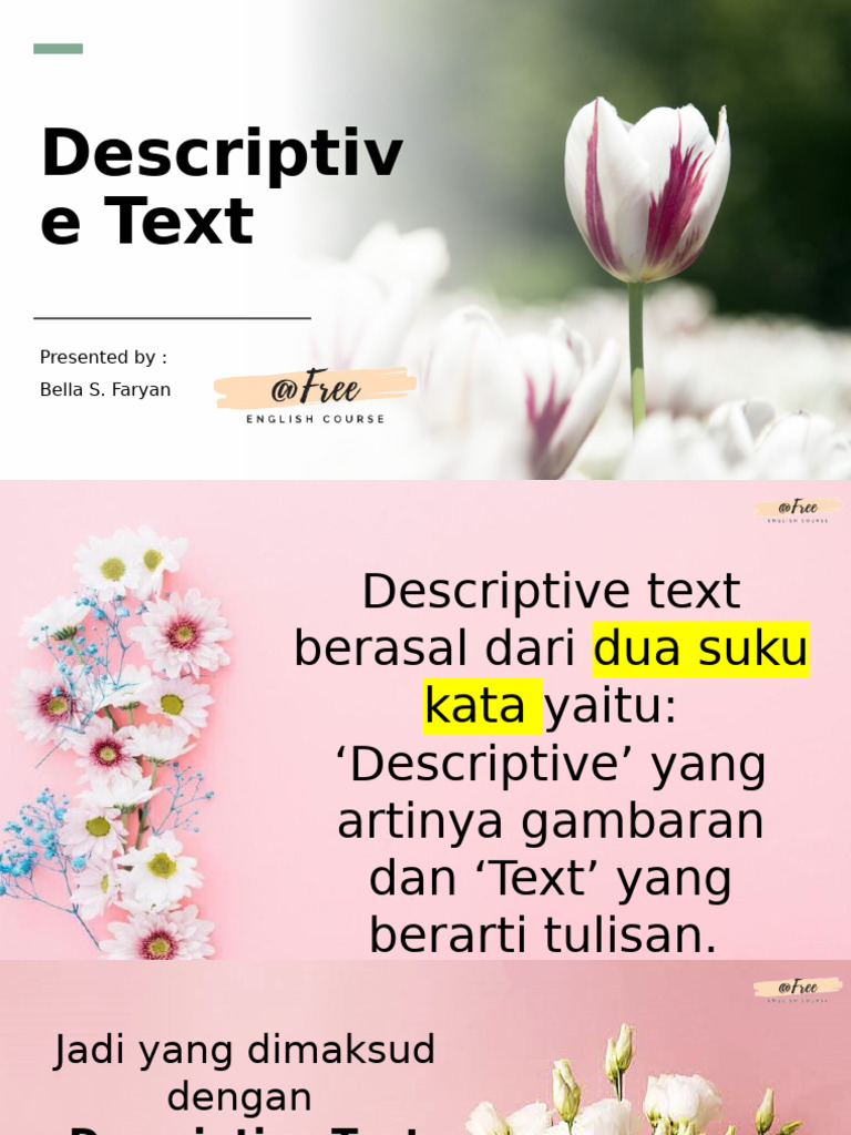 Descriptive Text | PDF