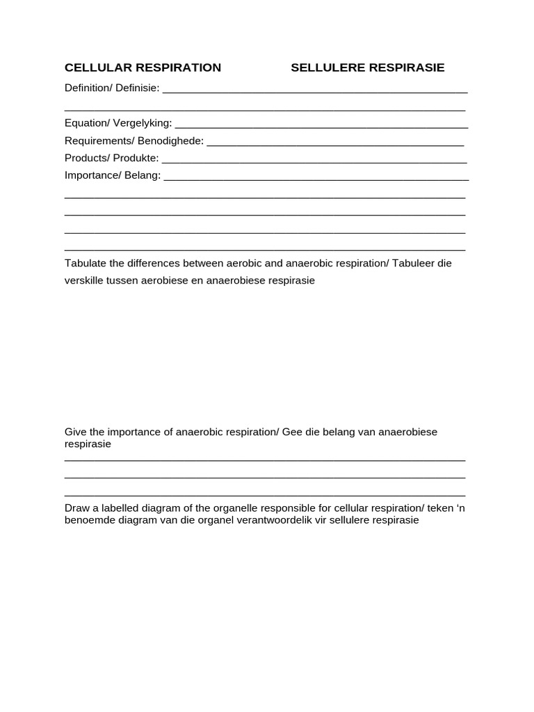 Cellular Respiration Summary Worksheet | PDF