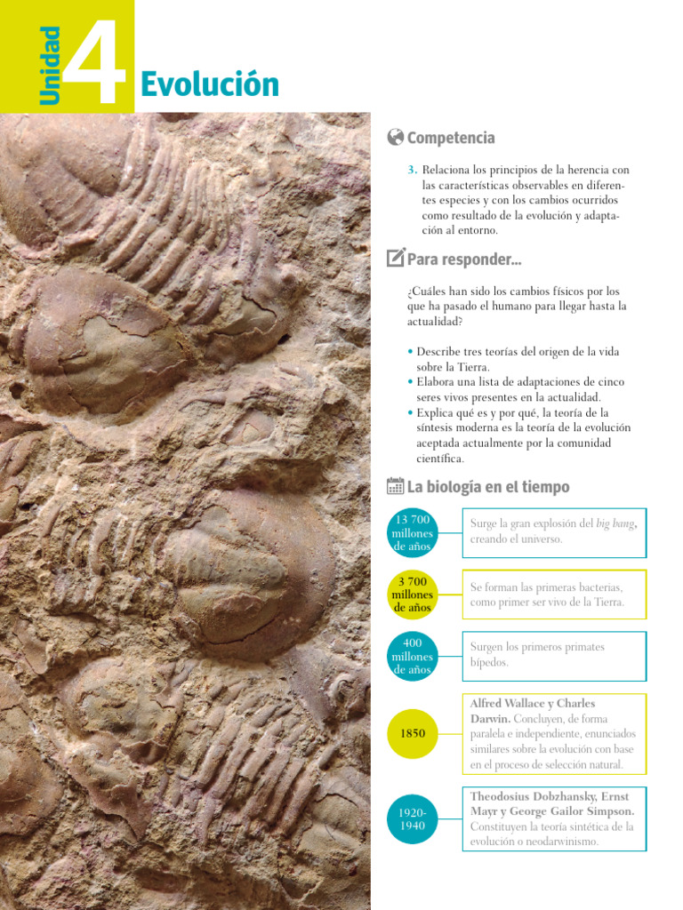 729803_EVAGT_BU4_Libro_para_el_docente_Seguridad | PDF | Universo ...