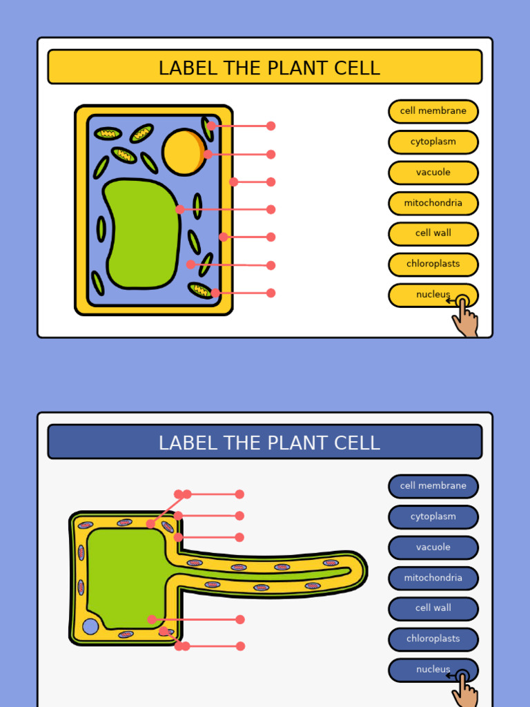 Labeling Parts of a Plant Cell | PDF