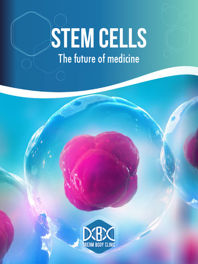 Stem Cell Therapy Guide For Dream Body Clinic | PDF | Mesenchymal Stem ...
