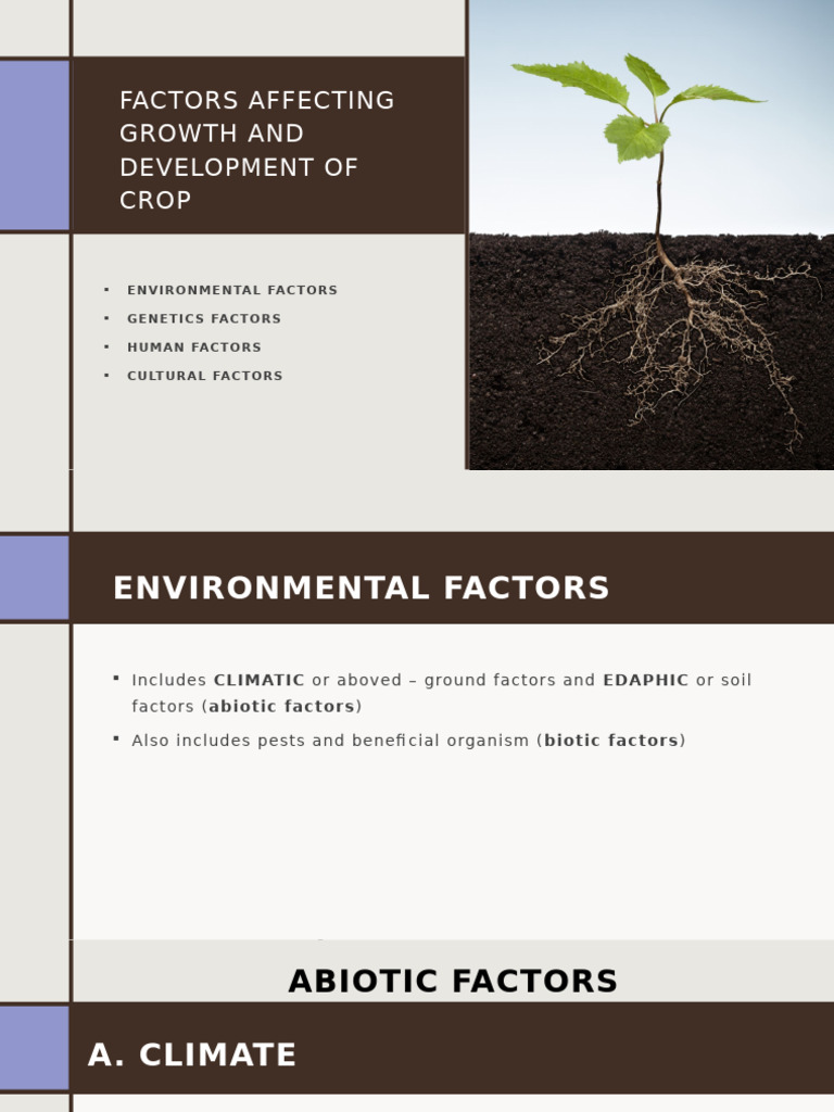 FACTORS-AFFECTING-GROWTH-AND-DEVELOPMENT-OF-CROP | PDF | Soil | Tropical Cyclones
