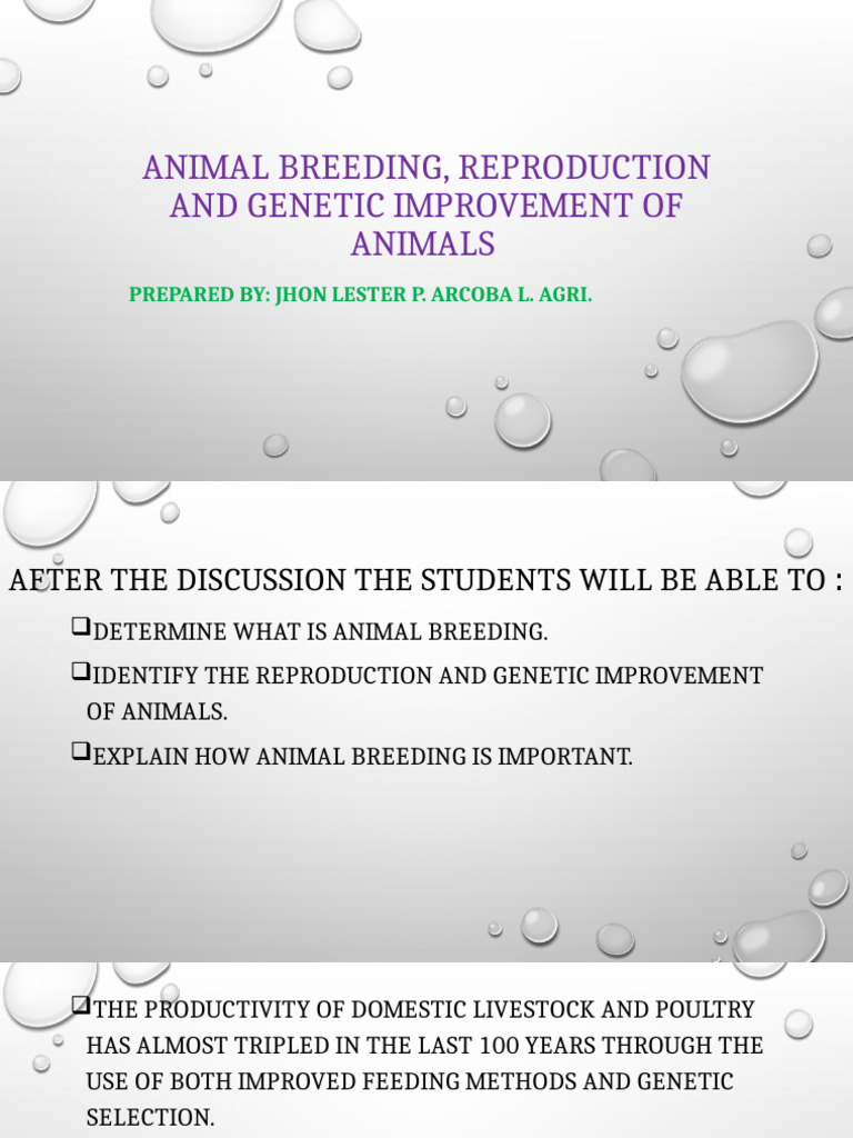 Animal Breeding and Genetic Welfare Issues | PDF | Pig | Broiler
