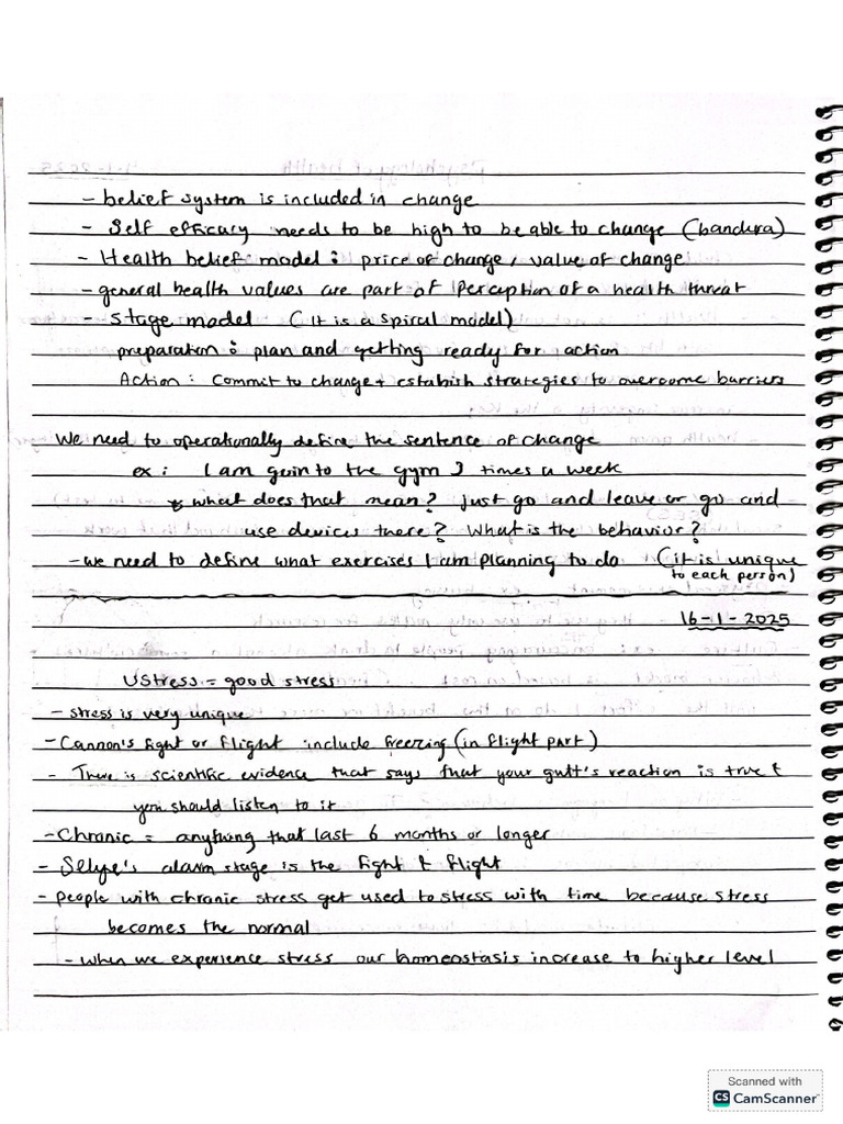 Stress Notes | PDF