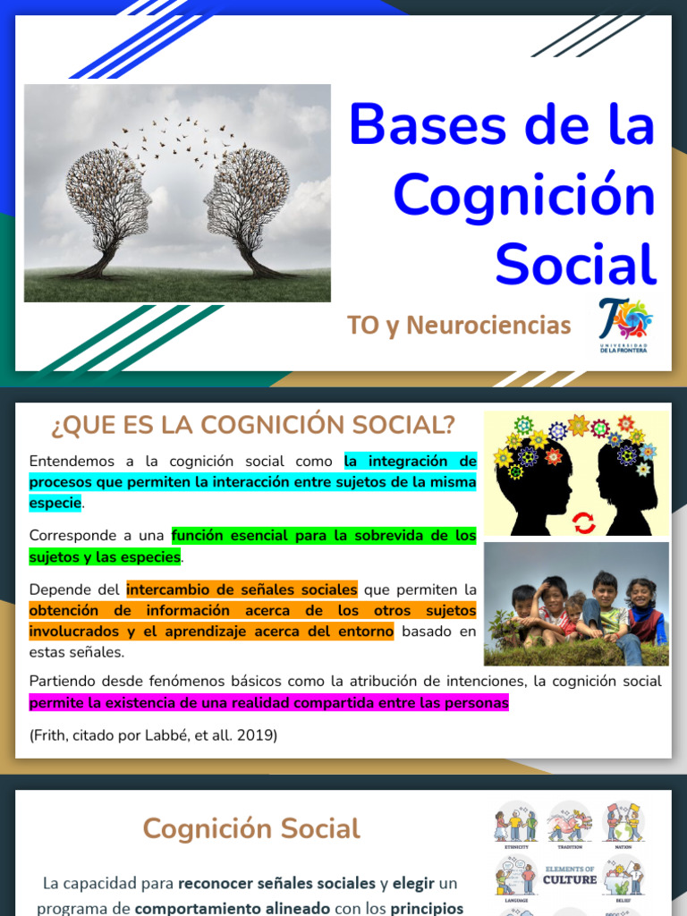 Clase 18 Cognición Social | PDF | Las emociones | Empatía