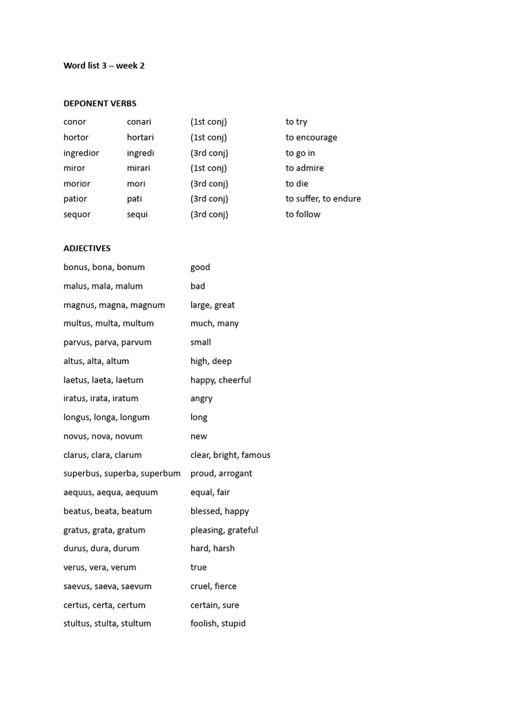 Latin Vocabulary: Verbs, Adjectives, Numbers | PDF