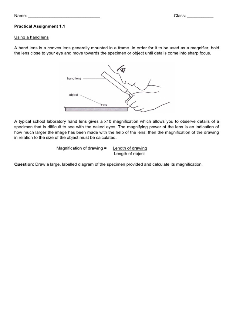 5090 Practical Assignment 1 | PDF | Microscope | Electromagnetic Radiation