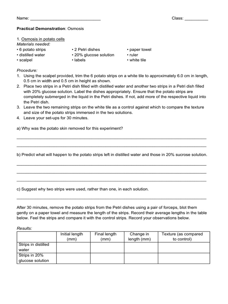 5090 Practical Assignment 4 | PDF | Anatomy