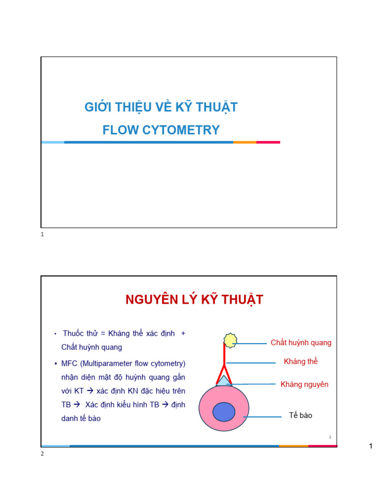 Flow Cytometry Pdf