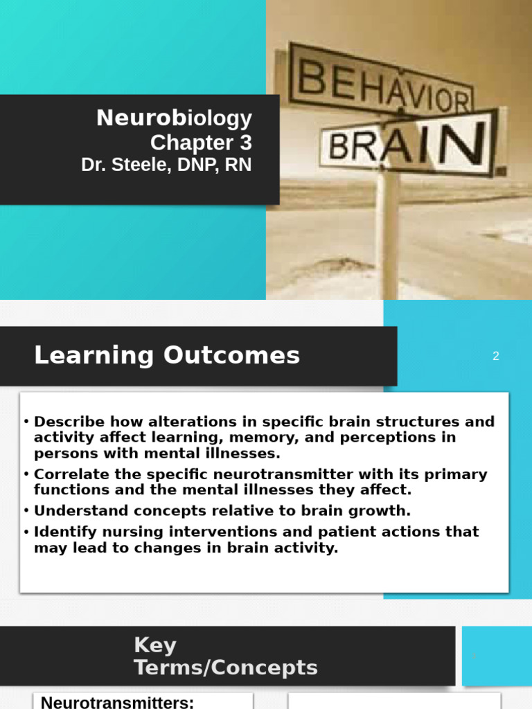 Neuroscience Biology and Behavior Canvas-1 | PDF | Neurotransmitter ...