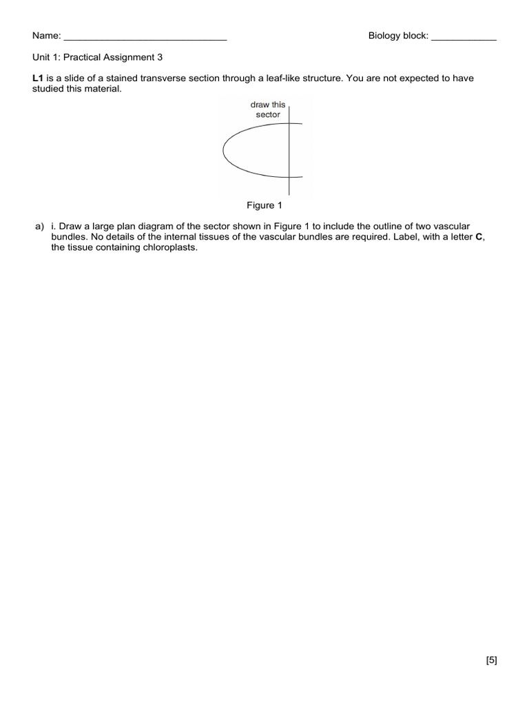 9700 Biology Practical Assignment 3 | PDF