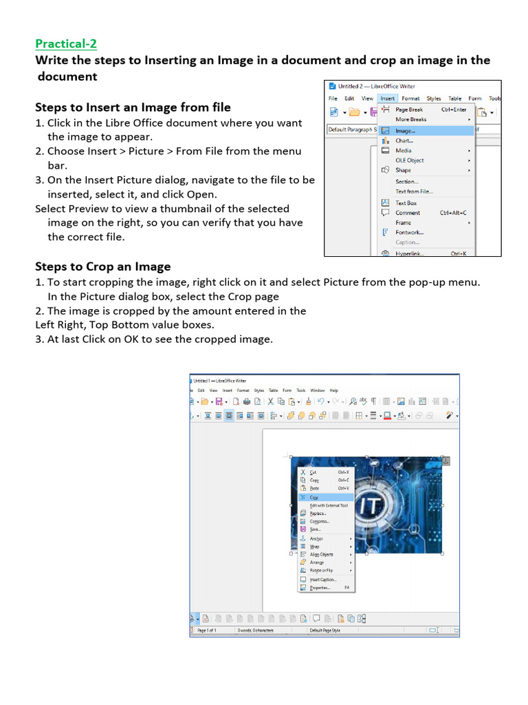 2. Practical-2 -Steps to insert Image Inserting and crop | PDF 2. Practical-2 -Steps to insert Image Inserting and crop | PDF