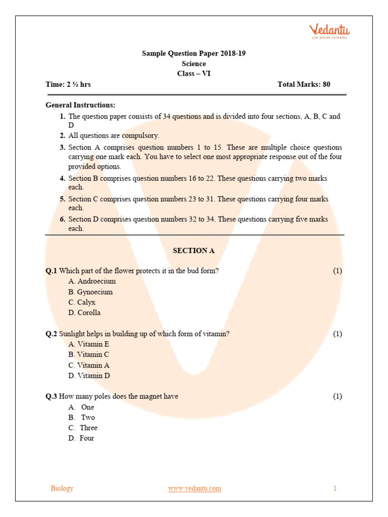 Class VI Science Sample Question Paper | PDF | Gases | Water