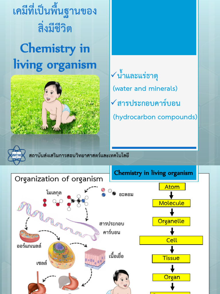 6 Chemistry in Living Organism | PDF