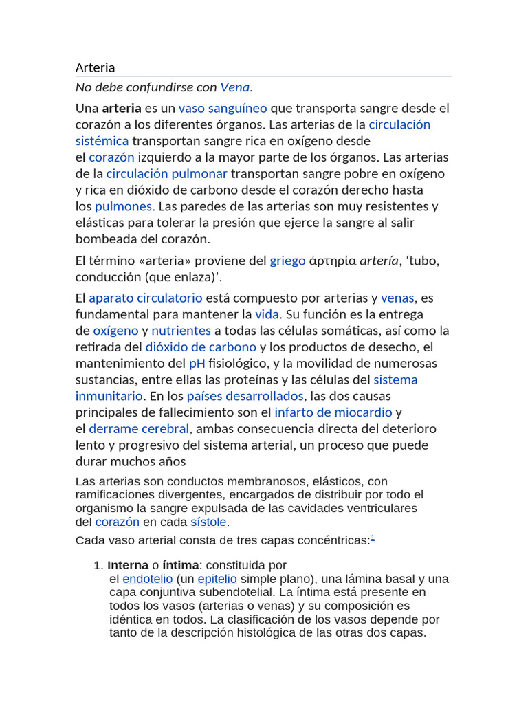 Función y Estructura de las Arterias | PDF | Artería | Vena