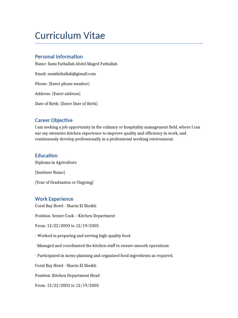 Sami Fathallah CV | PDF