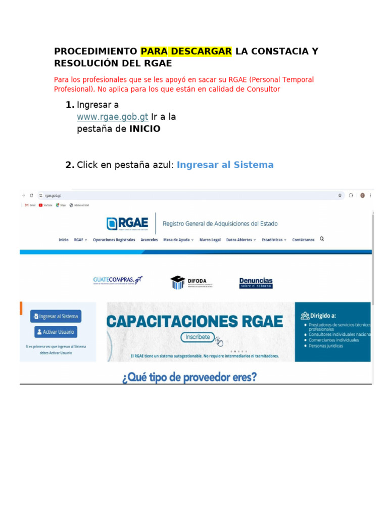 Instructivo RGAE | PDF
